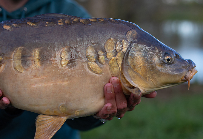 Angling Direct Nederland