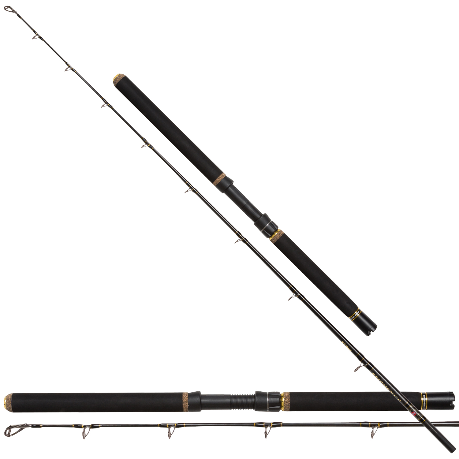 Penn Regiment II XT Rod