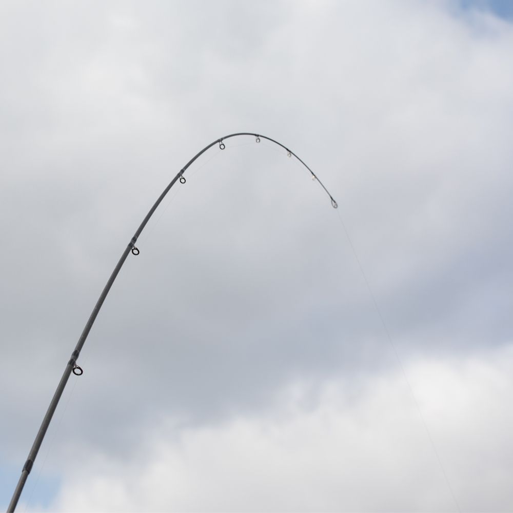 Advanta Discovery RVS Hengel met Dubbele Tip