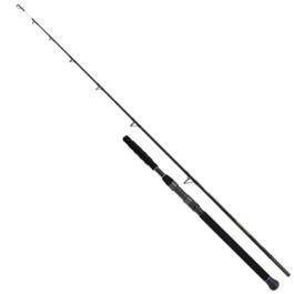 Shimano Beastmaster AX Catfish Vertical Spinning Hengel