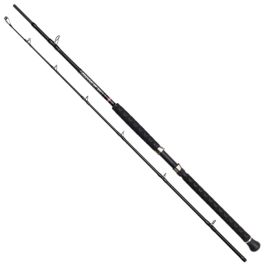 Penn Prevail III LE Boat Hengel