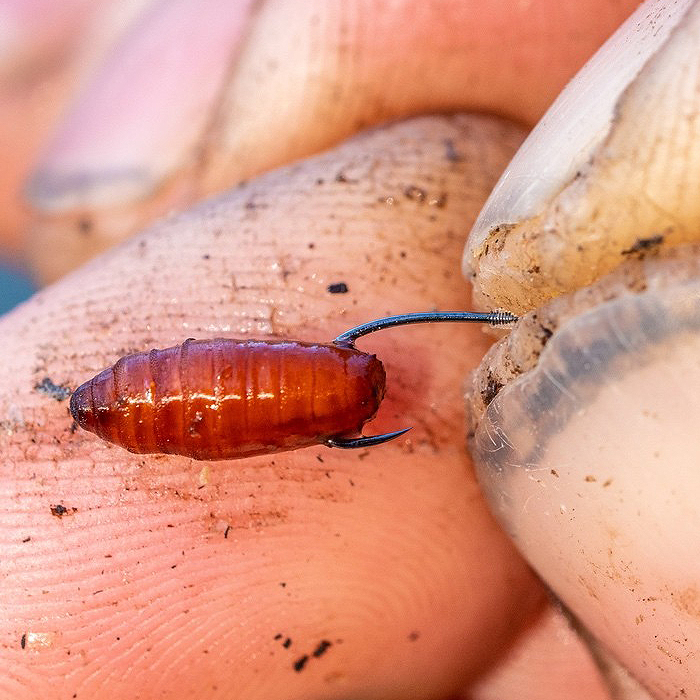 Guru Kuranku Vishaak Weerhaak
