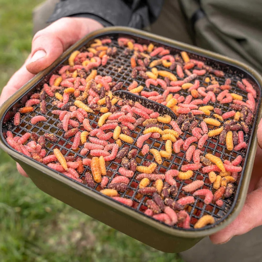 Korum Maggot Tub 2 Pint & Riddle 1.2L | Angling Direct NL