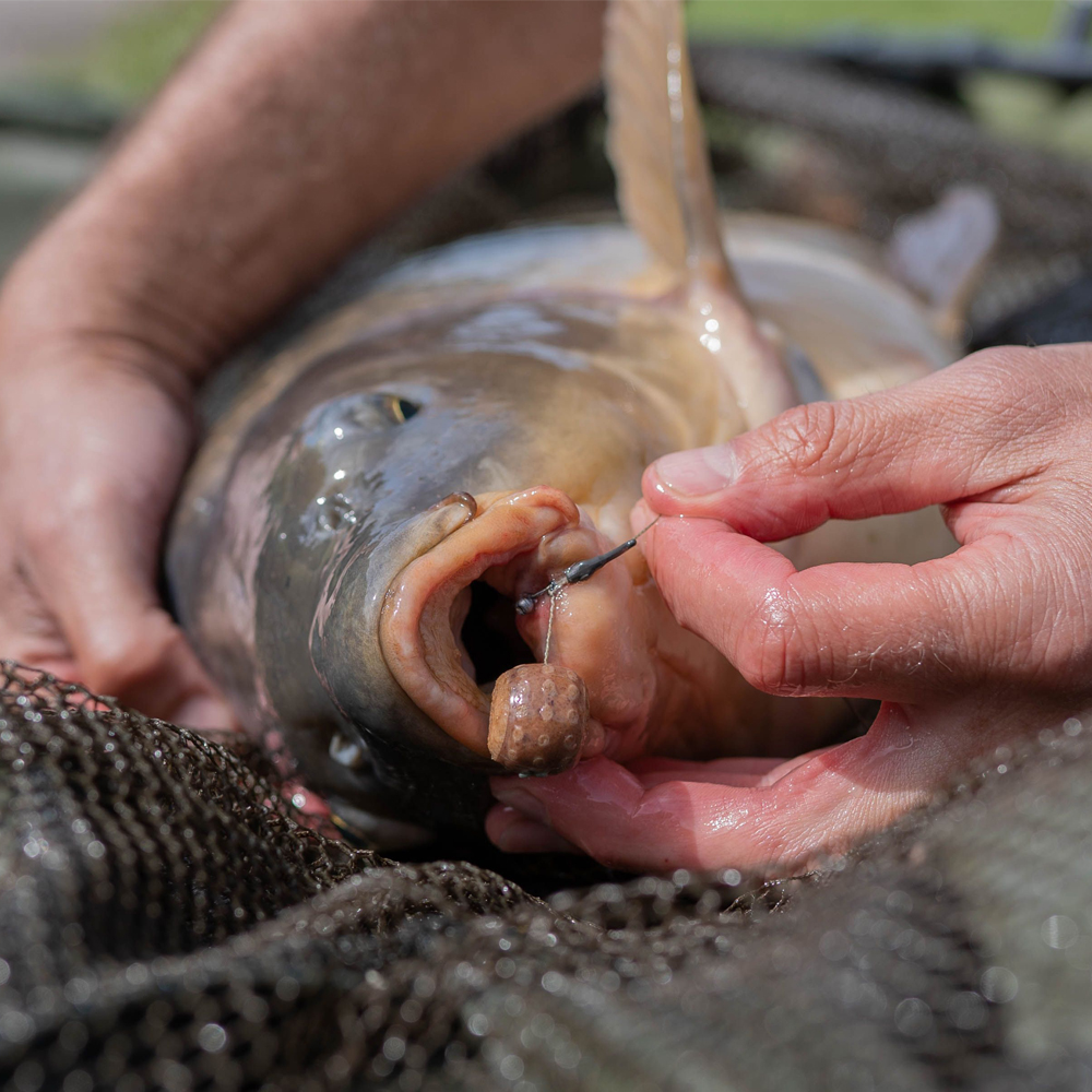 Pole Position Tungsten Line Aligner | Angling Direct NL