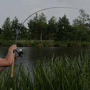 Angling Direct Nederland